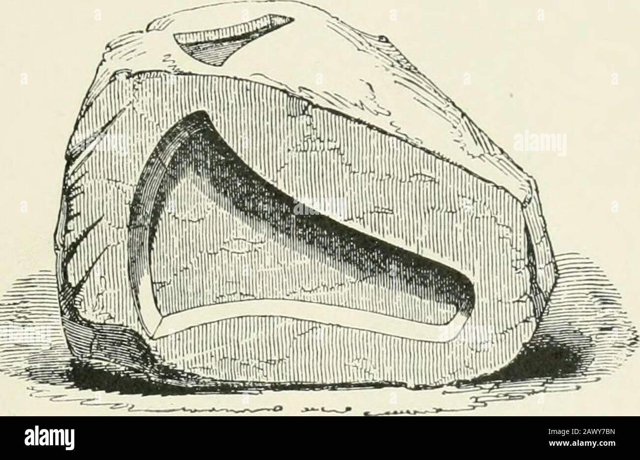 An introduction to the study of prehistoric art . forornament and ...