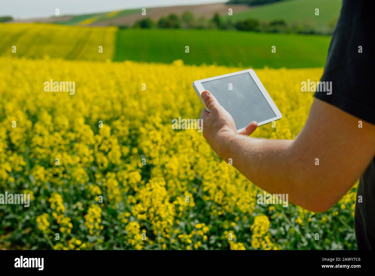 Agriculture Farmer holding tablet Stock Photo - Alamy