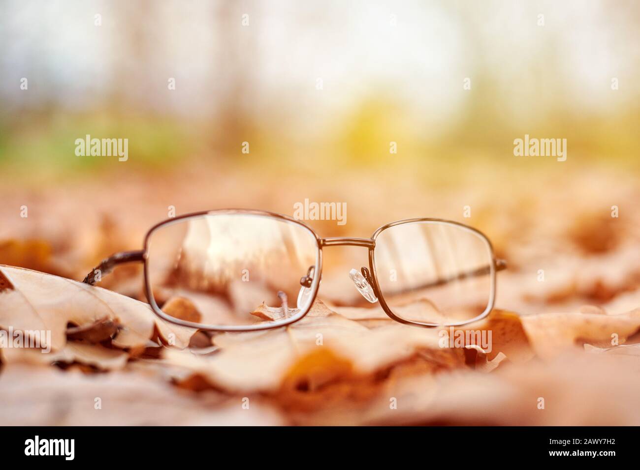 Glasses on autumn foliage. Autumn vision loss concept. Vitamin ...