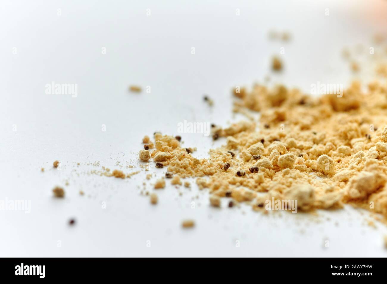 Flour beetles in baking flour. Pests of cereal silos. Spoiled food ...