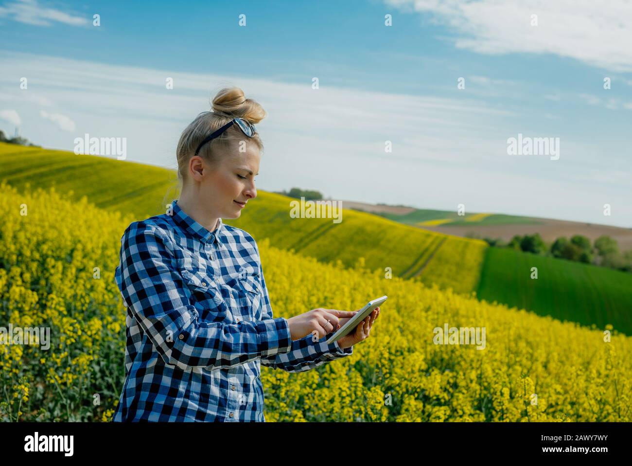 Female agronomist tablet computer hi-res stock photography and images - Alamy