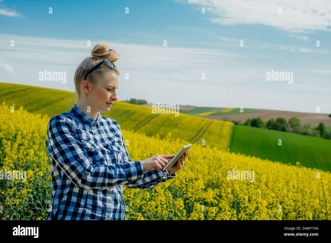 Female farmer using tablet Stock Photo - Alamy