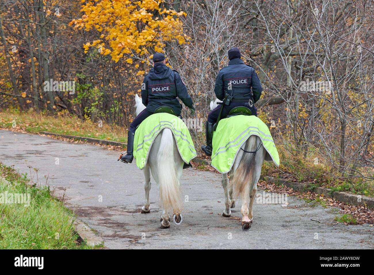 Mounted police in autumn city park, back view. Two police officers on ...