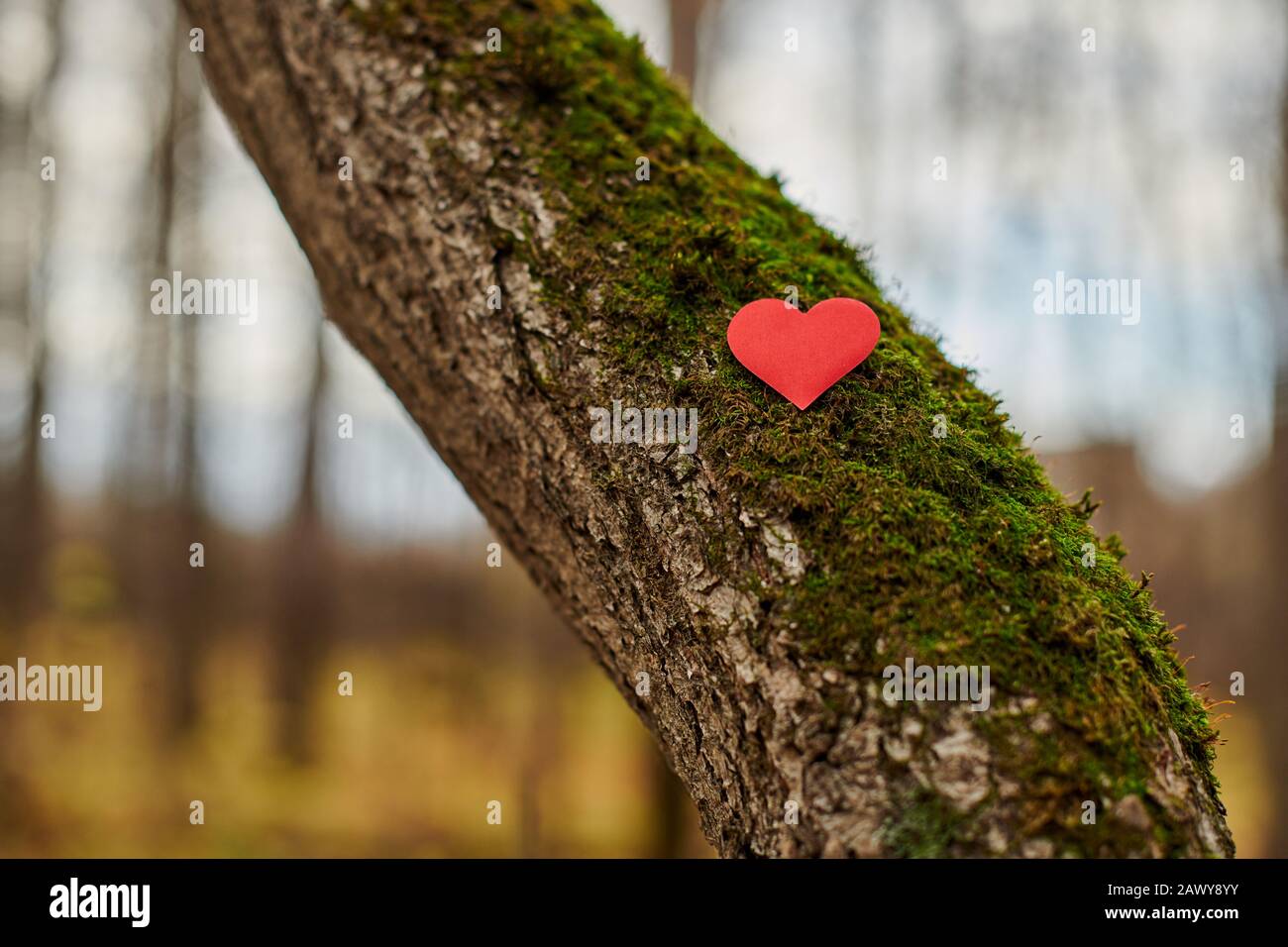 Heart on tree. Save forest and nature. Environment protection symbol ...