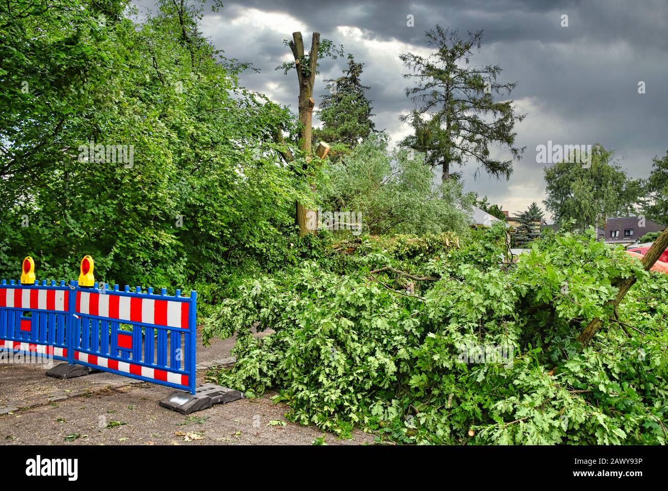 The remains of a fallen tree after a heavy storm in Berlin, Germany ...