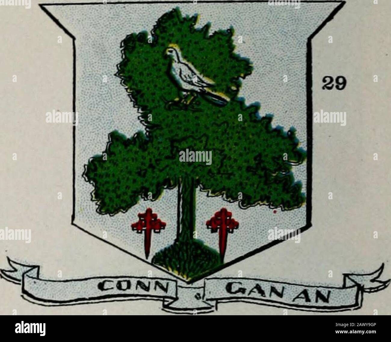 Irish pedigrees; or, The origin and stem of the Irish nation Stock ...