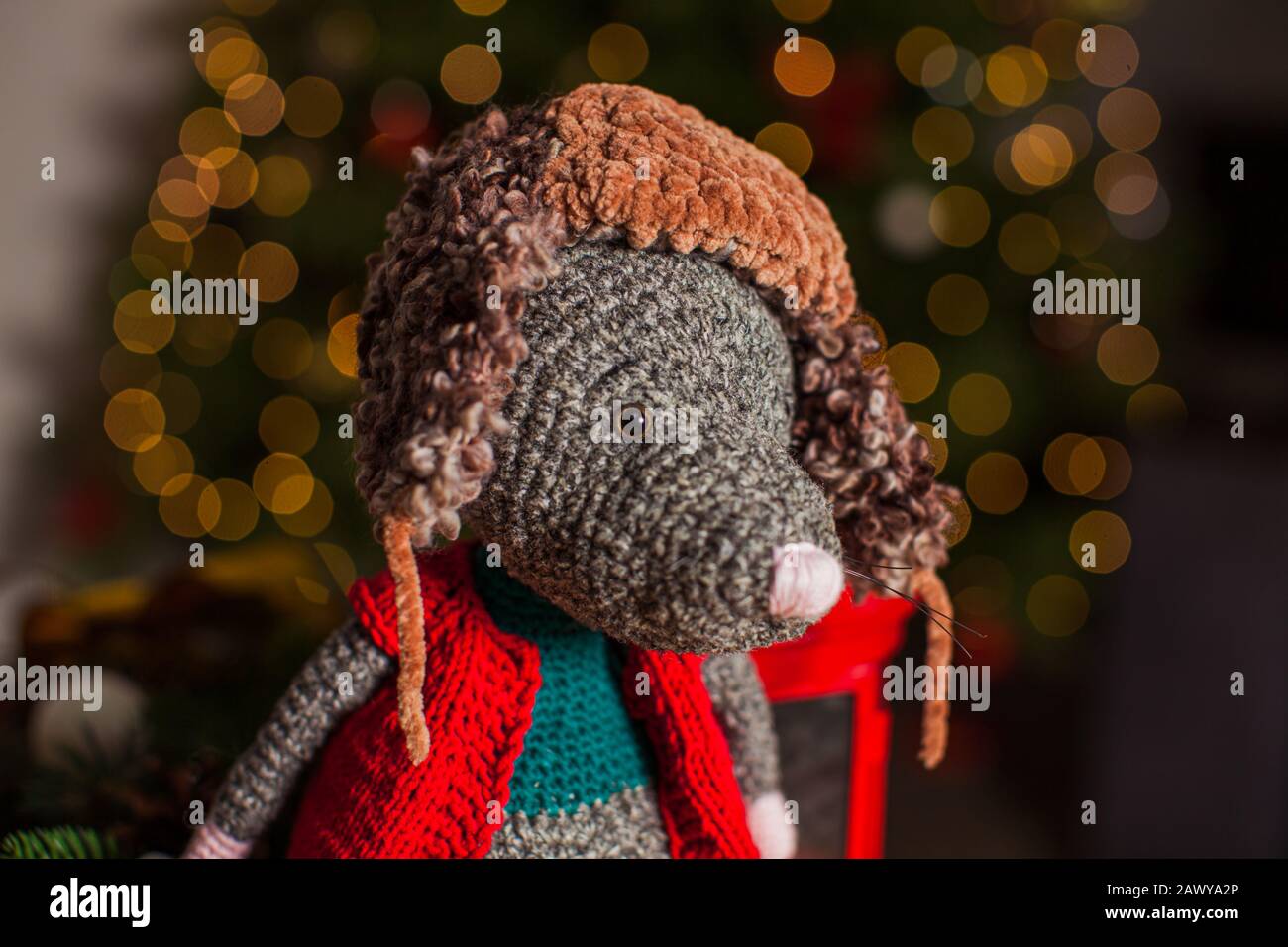 Rat under the tree hi-res stock photography and images - Alamy