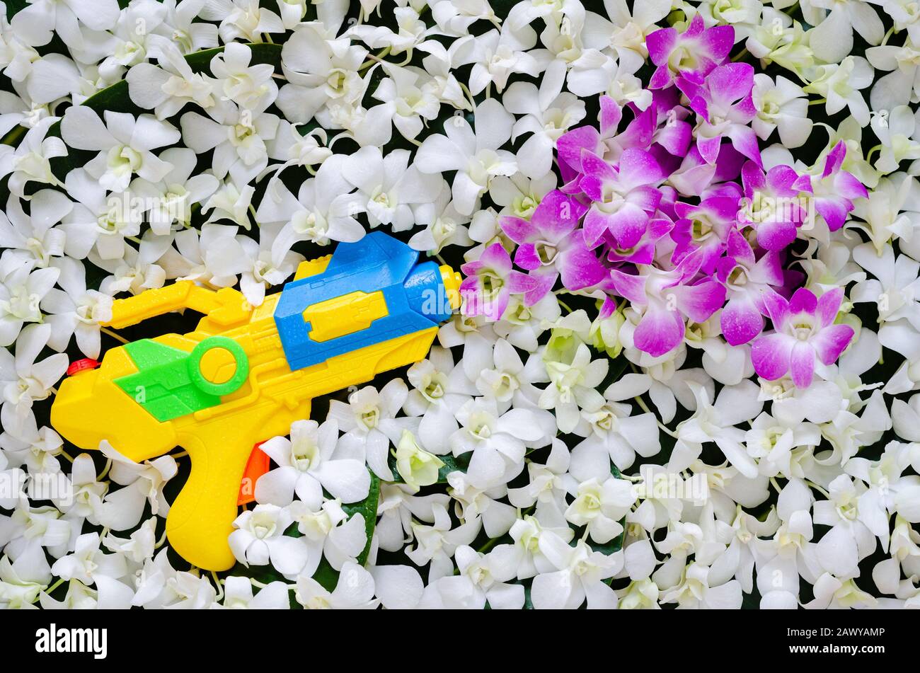 Yellow water gun with pink orchid that set as splash water put on white ...