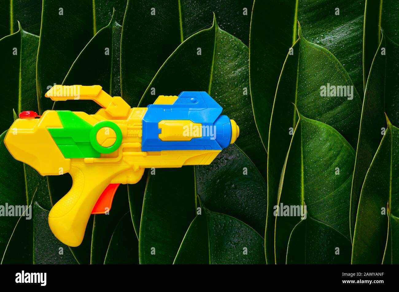 Yellow water gun put on green leaves background for Water or Songkran ...