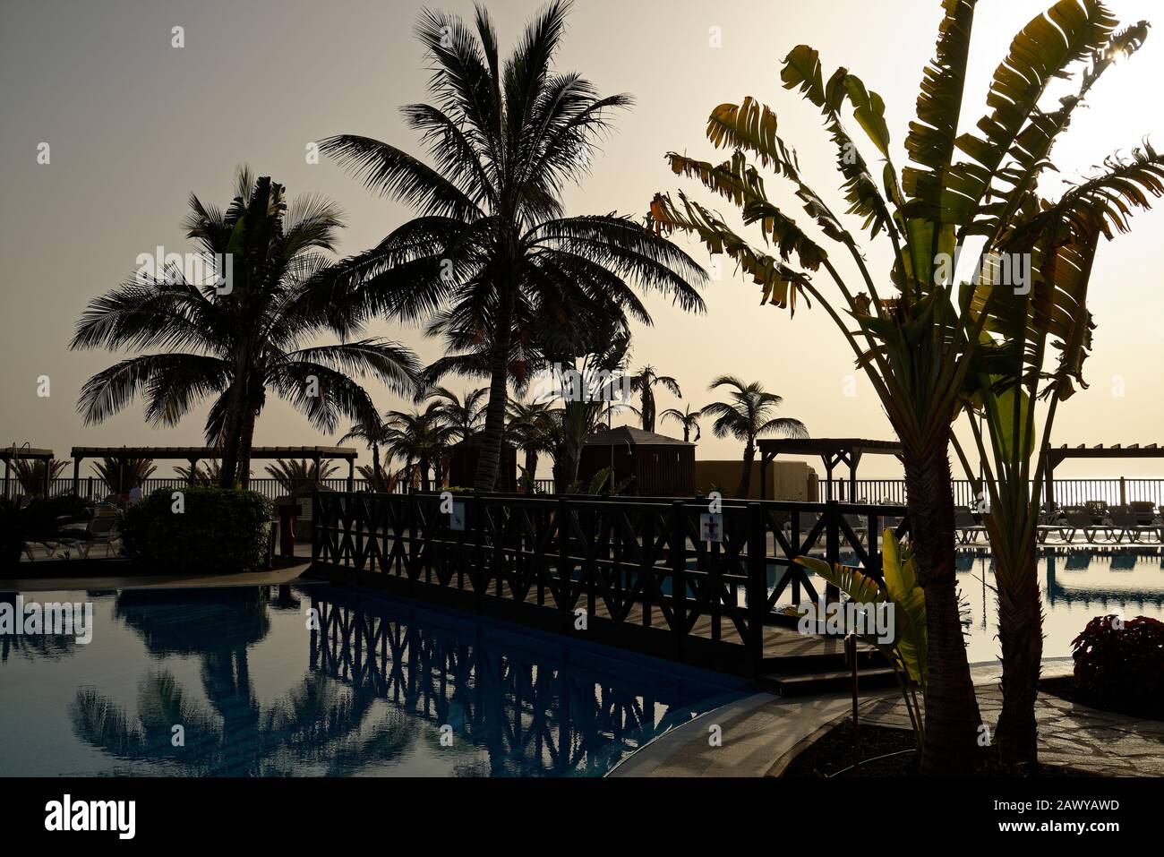 Hotel tourism palm trees hi-res stock photography and images - Alamy