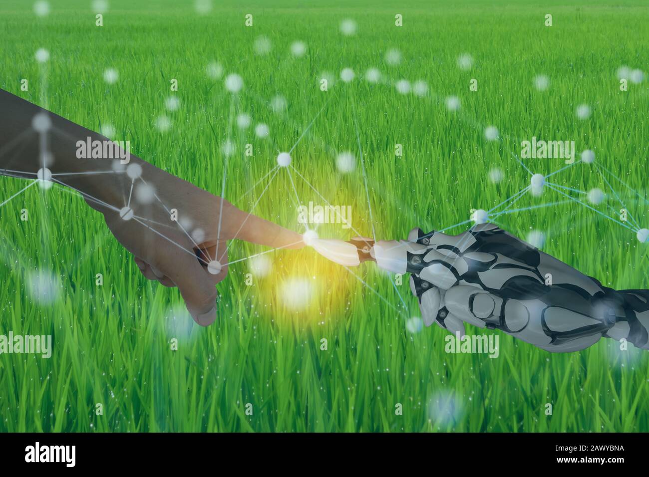 human work with robots in smart agriculture concept with machine, deep ...