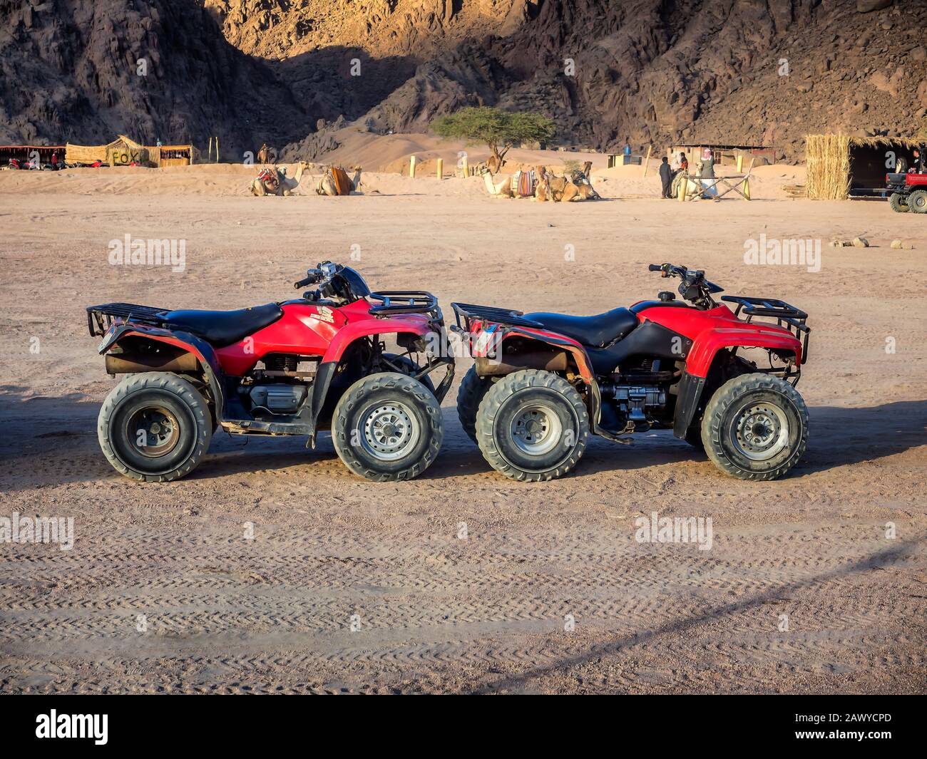 Buggy cars in the Sinai desert in Egypt Stock Photo - Alamy
