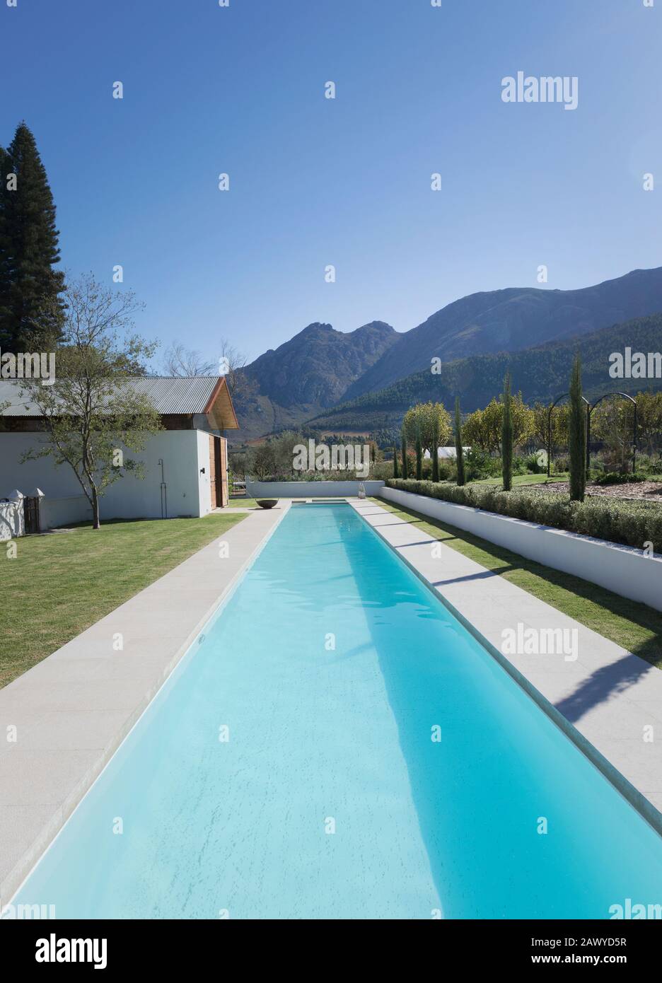 Vertical swimming pool water background hi-res stock photography and ...