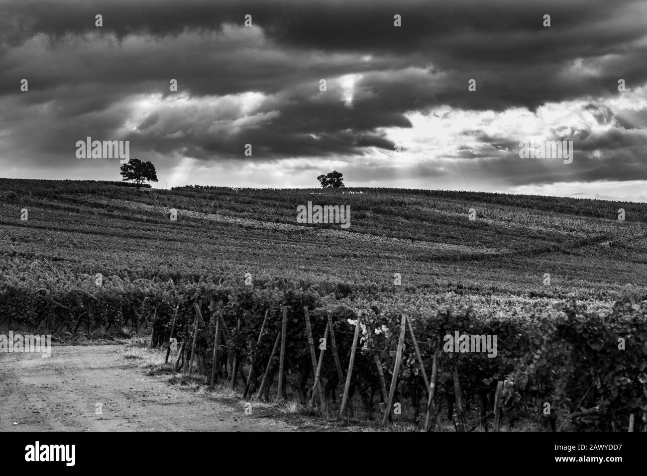 French scenic landscape Black and White Stock Photos & Images - Alamy