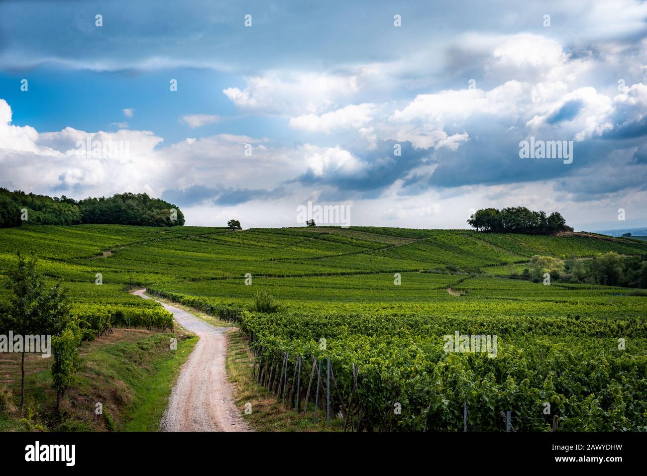 French countryside landscape hi-res stock photography and images - Alamy
