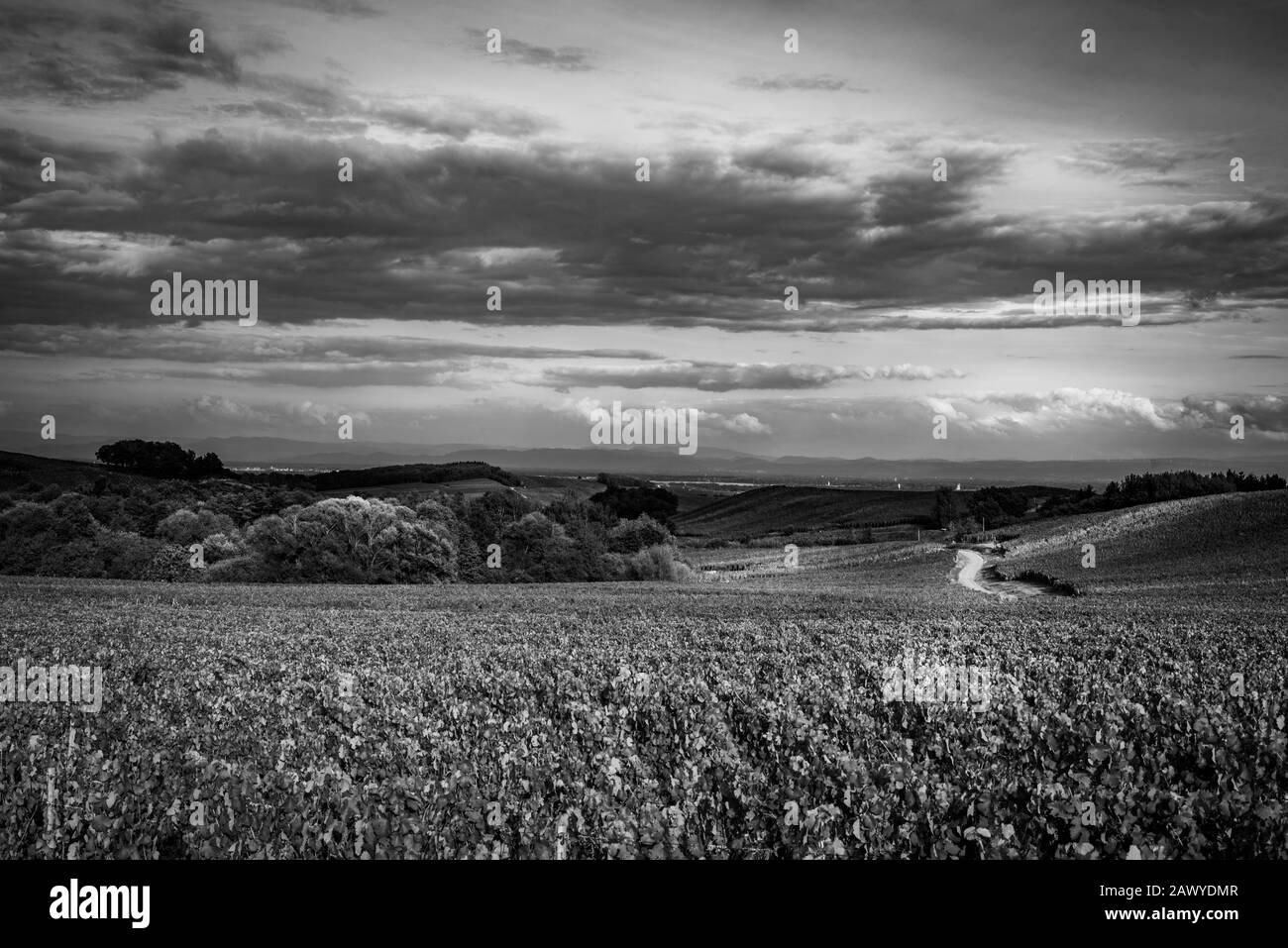 French scenic landscape Black and White Stock Photos & Images - Alamy