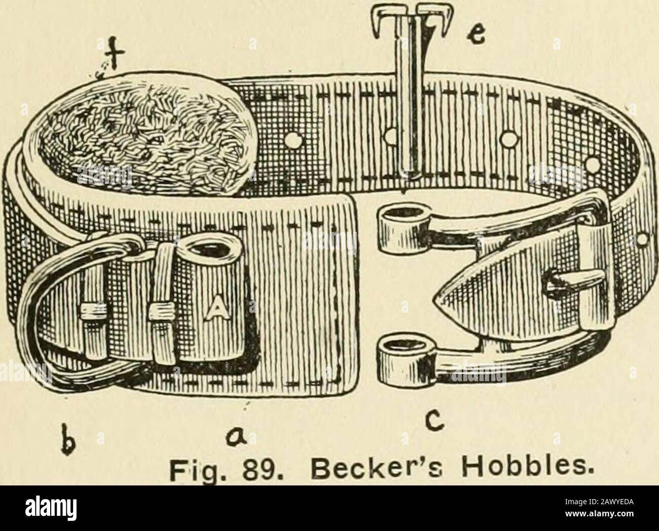 Hobble d hi-res stock photography and images - Alamy