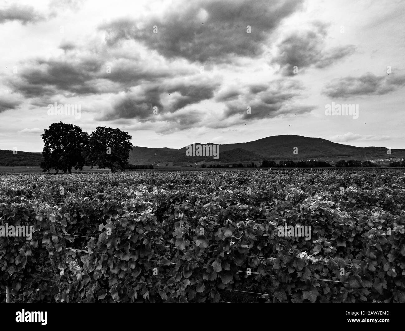 French scenic landscape Black and White Stock Photos & Images - Alamy