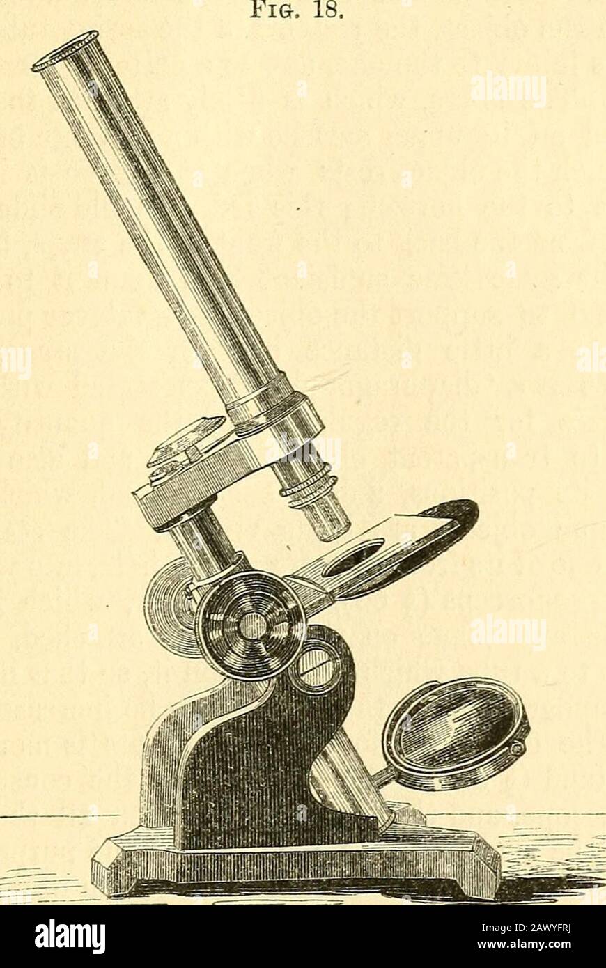 The microscope and its revelations . scribe, is thatto which the medal ...