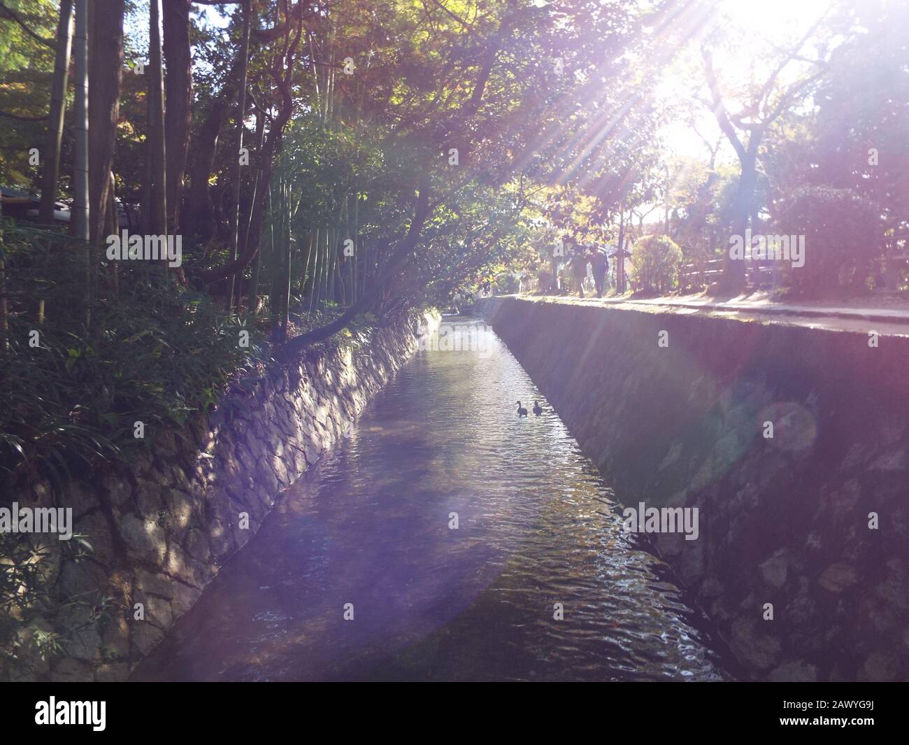 Philosopher's path in Kyoto, Japan, a popular destination for tourists ...