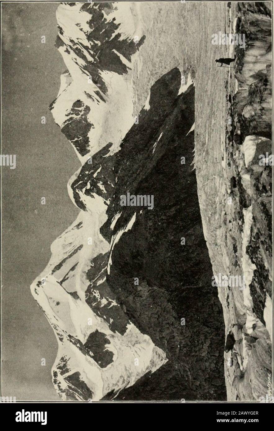 Tarantass hi-res stock photography and images - Alamy