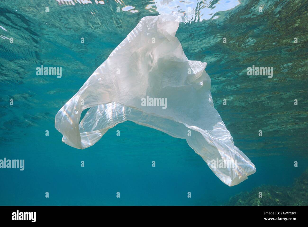 Plastic pollution underwater in ocean, a white plastic bag drifts below ...