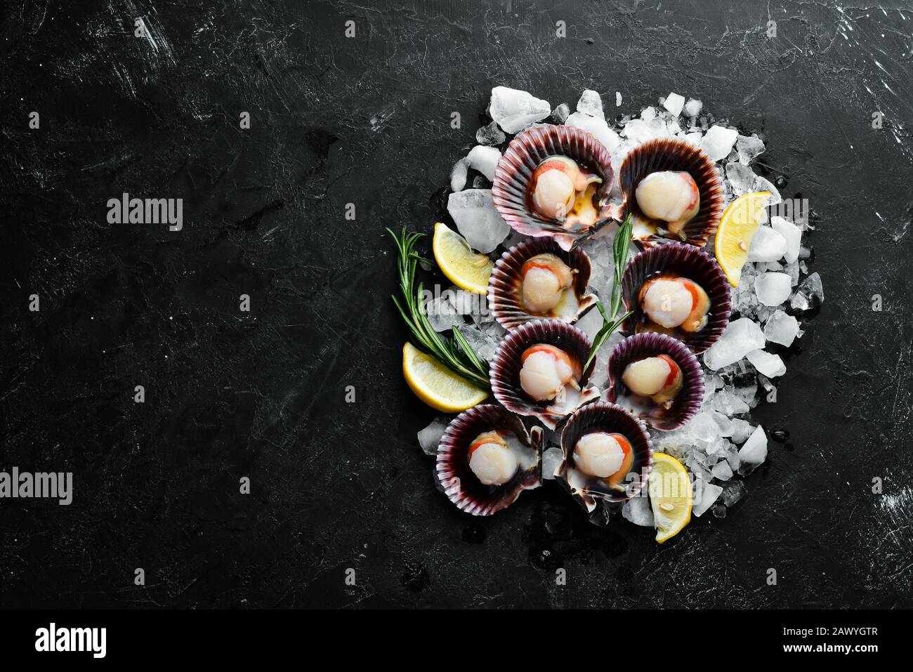 Scallops on ice. Seafood. Top view. On a black background. Free copy ...
