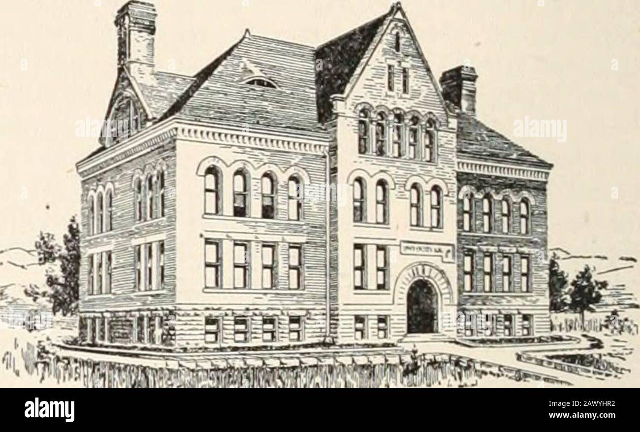 Albuminoids hi-res stock photography and images - Alamy