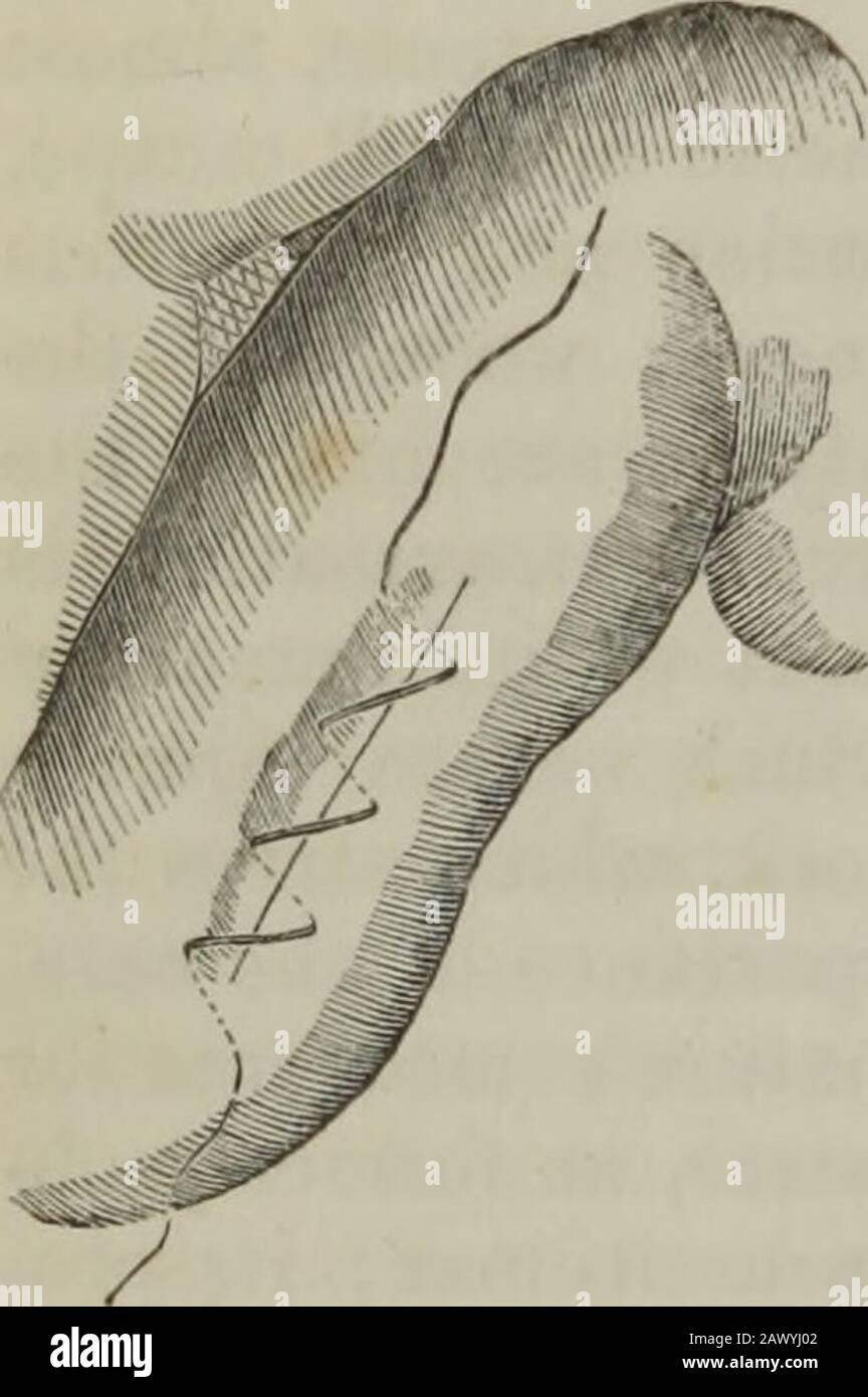 Feculent hi-res stock photography and images - Alamy