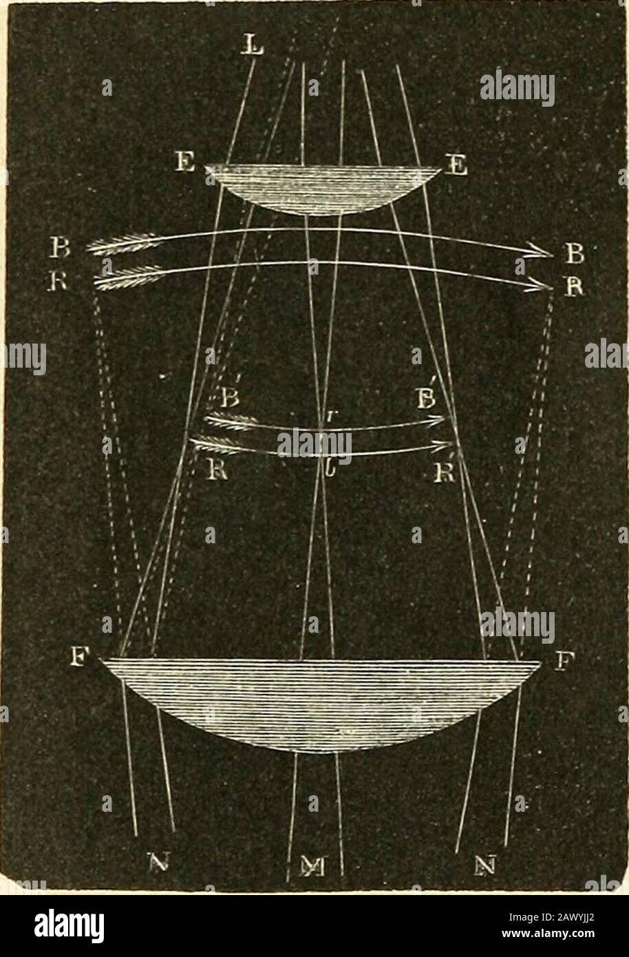 The microscope and its revelations . extreme rays of three pencils ...