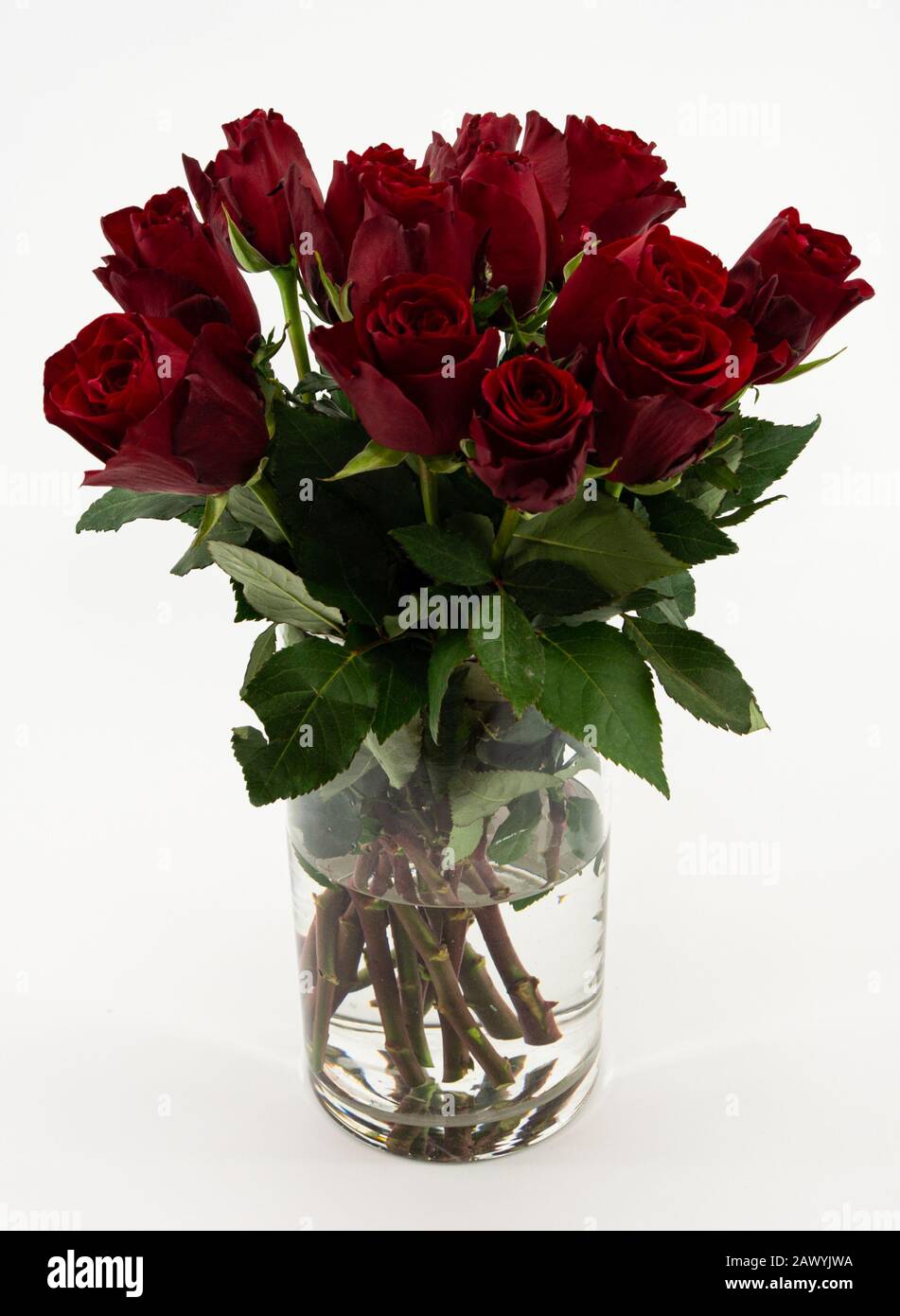 Roses container garden hi-res stock photography and images - Alamy