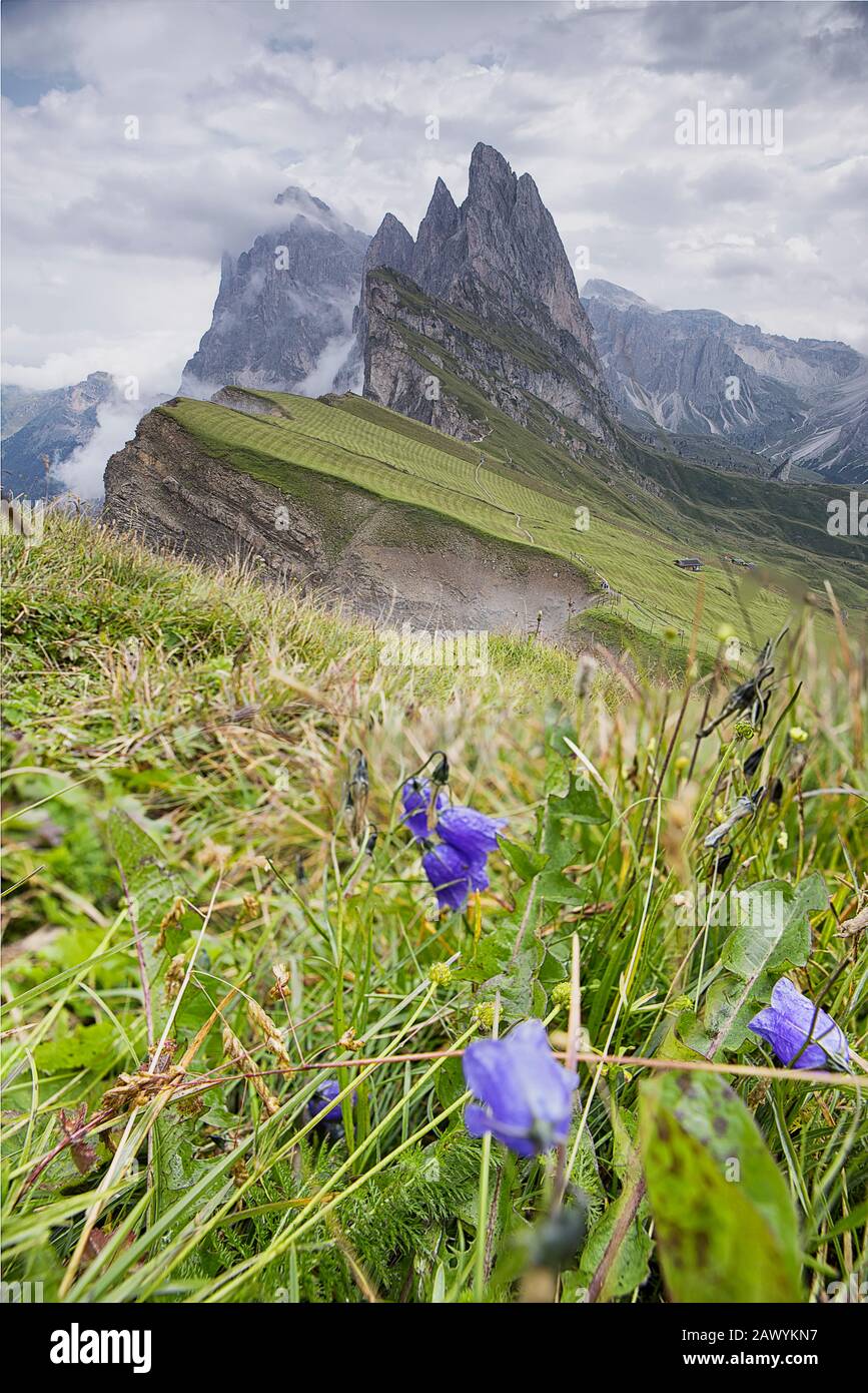 Seceda mountain in the Italian Dolomites Stock Photo - Alamy