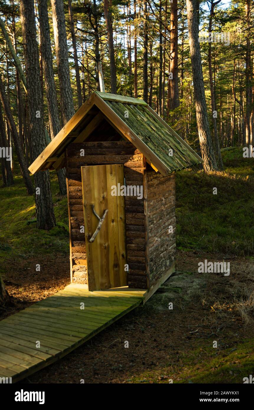 Beautiful outdoor wood toilet in the forest on a sunny day, wood toilet ...