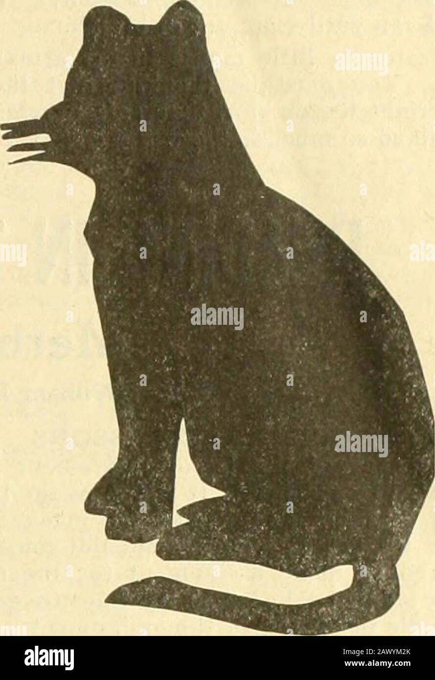 Fretfully hi-res stock photography and images - Alamy