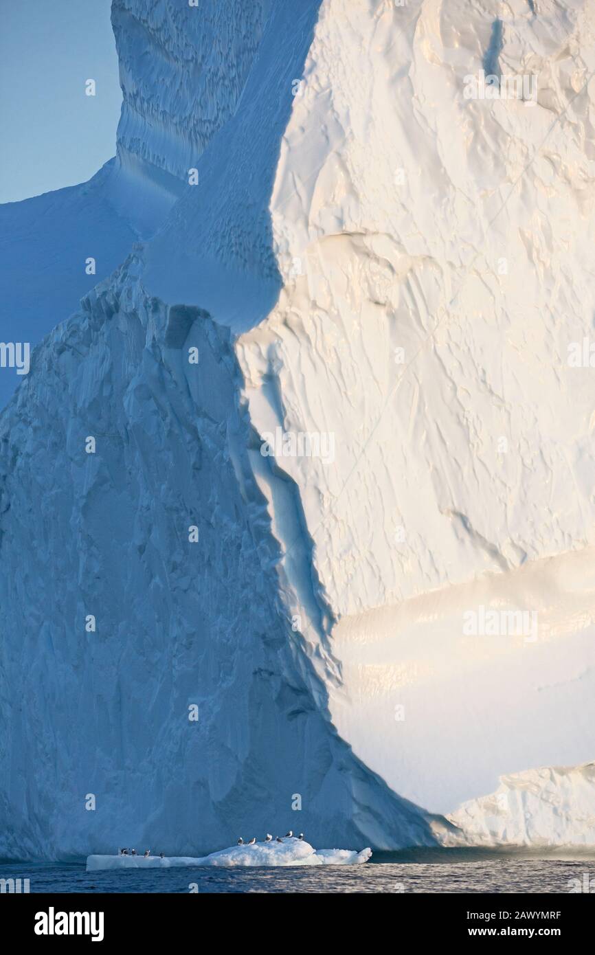 Majestic iceberg formation Greenland Stock Photo - Alamy