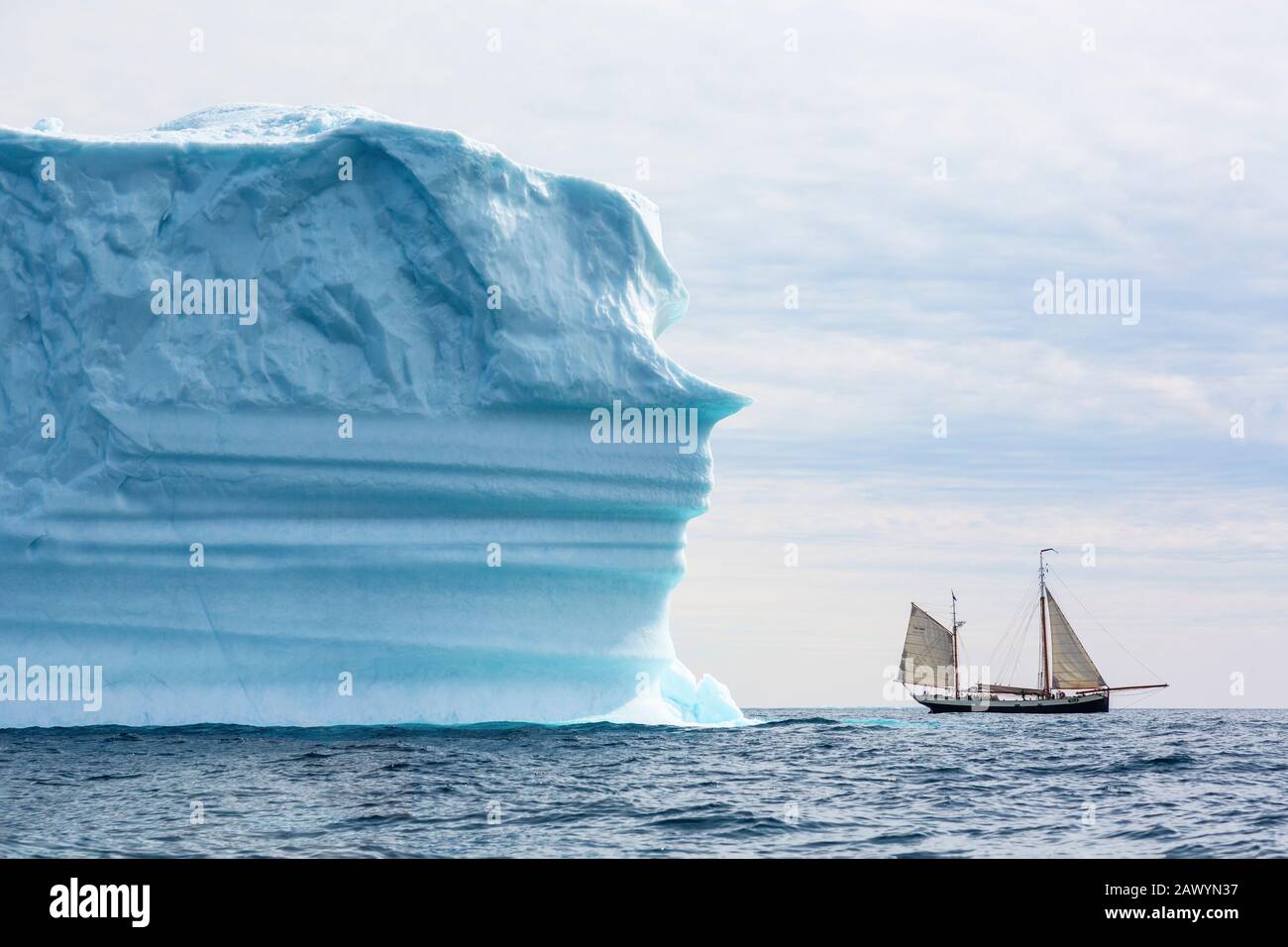 Ship sailing past iceberg on Atlantic Ocean Greenland Stock Photo - Alamy