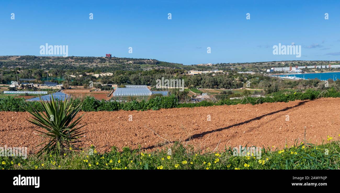 Vegetable greenhouses and arable land for growing crops in Malta ...