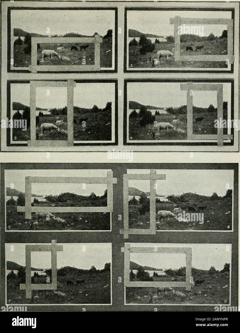 Art . USE UF FIXDEU 33 34 ART The principles of Composition, although ...
