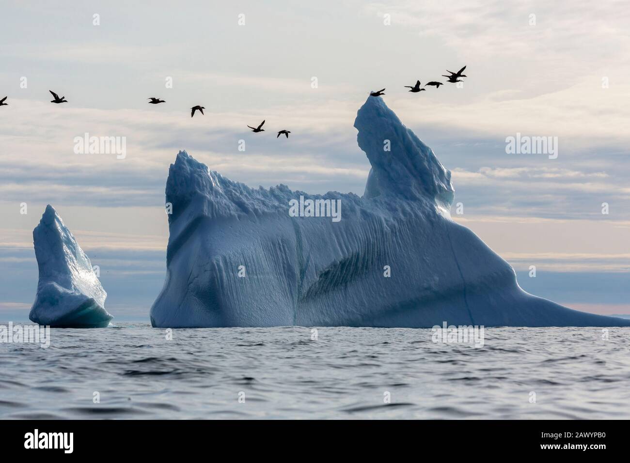 Birds fly over atlantic hi-res stock photography and images - Alamy