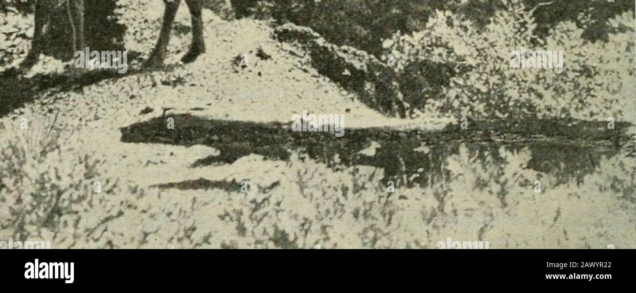 Die steinigen berge hi-res stock photography and images - Alamy