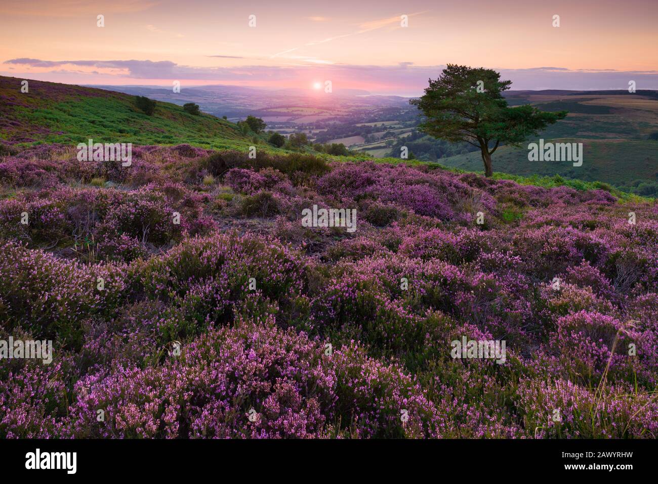 The quantock hills hi-res stock photography and images - Alamy