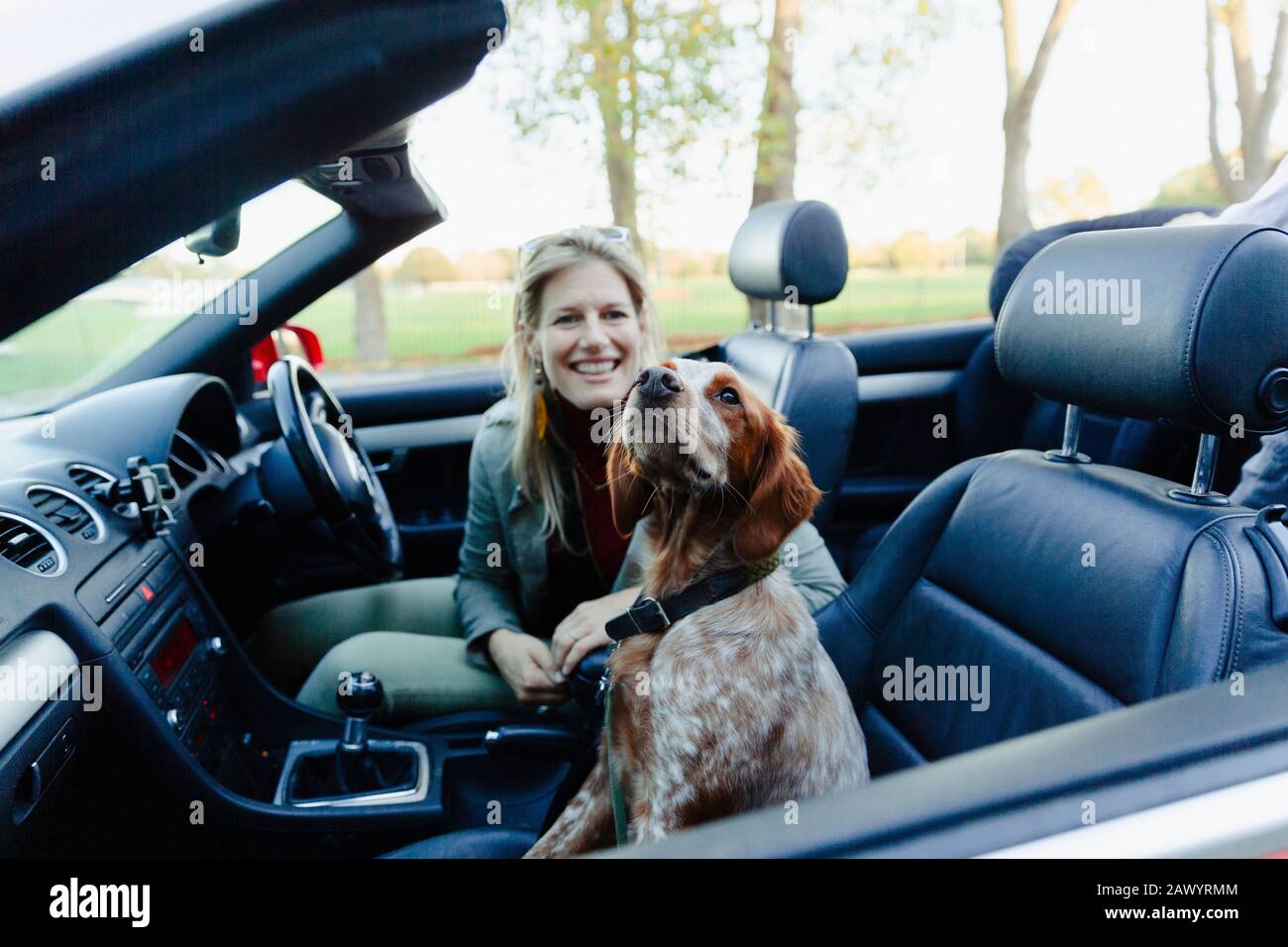 Portrait happy woman riding in convertible with dog Stock Photo - Alamy