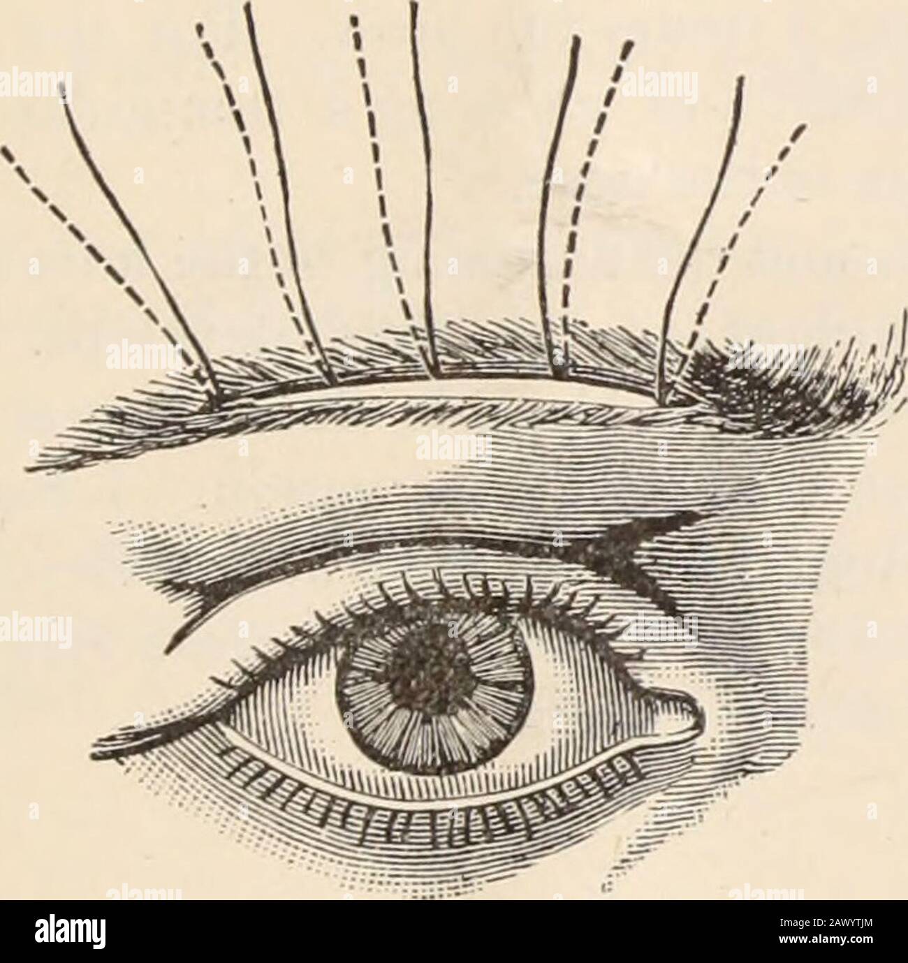 Twohorizontal hi-res stock photography and images - Alamy