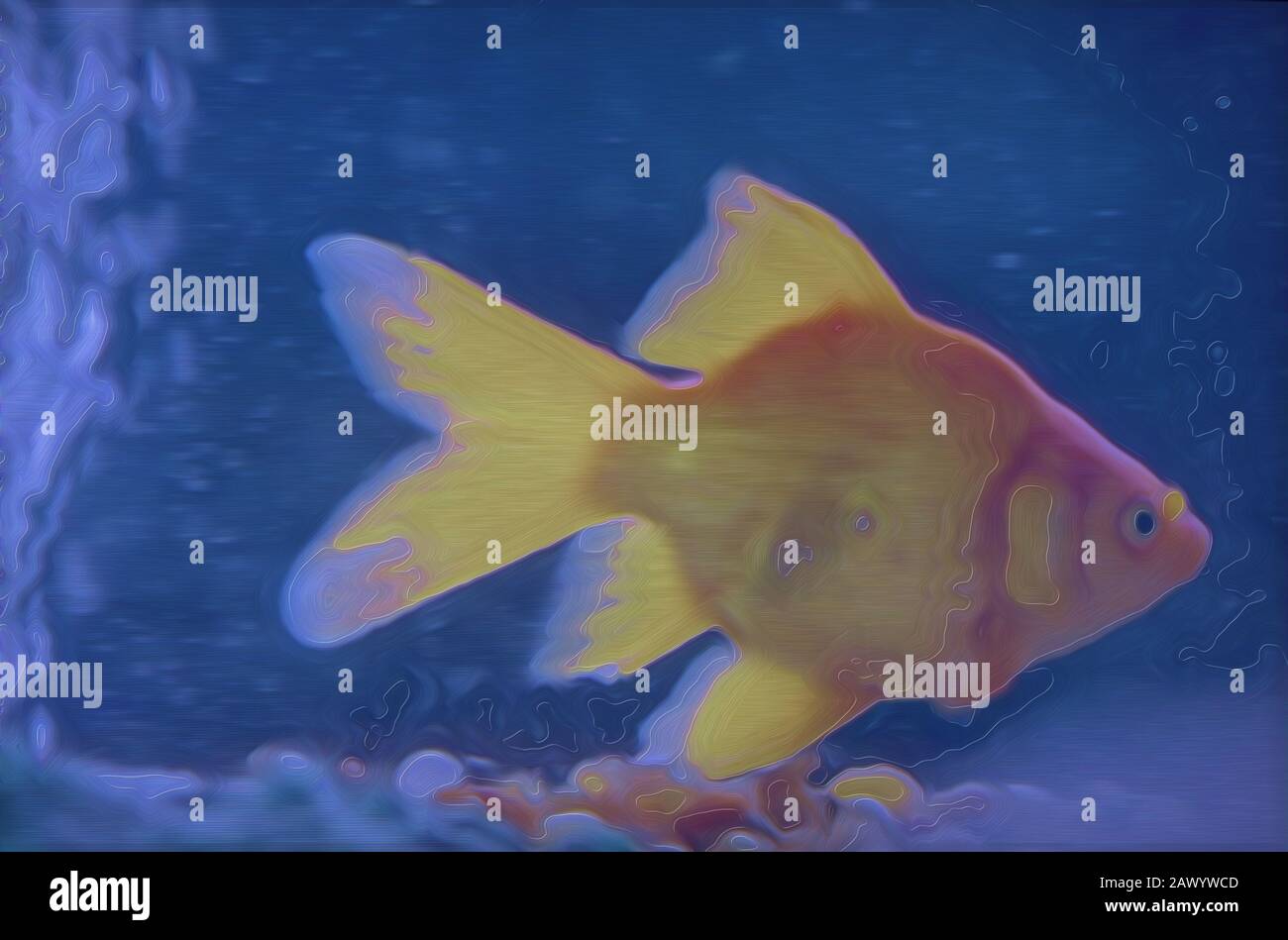 illustration of abstract goldfish in fish tank Stock Photo - Alamy