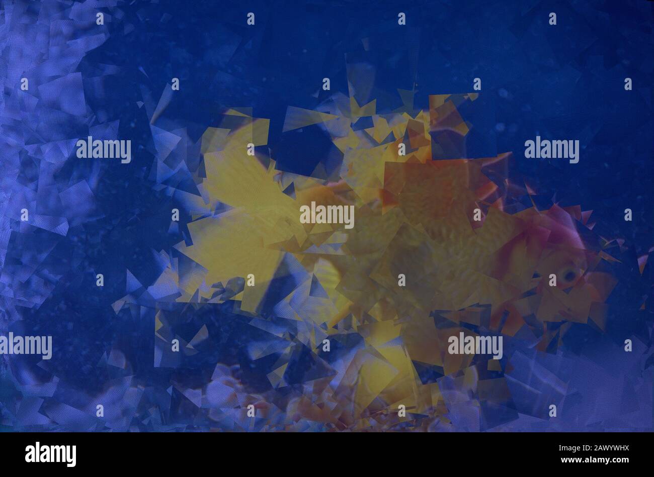 Gold fish large tank hi-res stock photography and images - Alamy