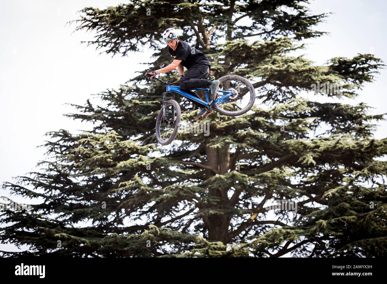 BMX rider jumping high in the air with a tree in the background during ...