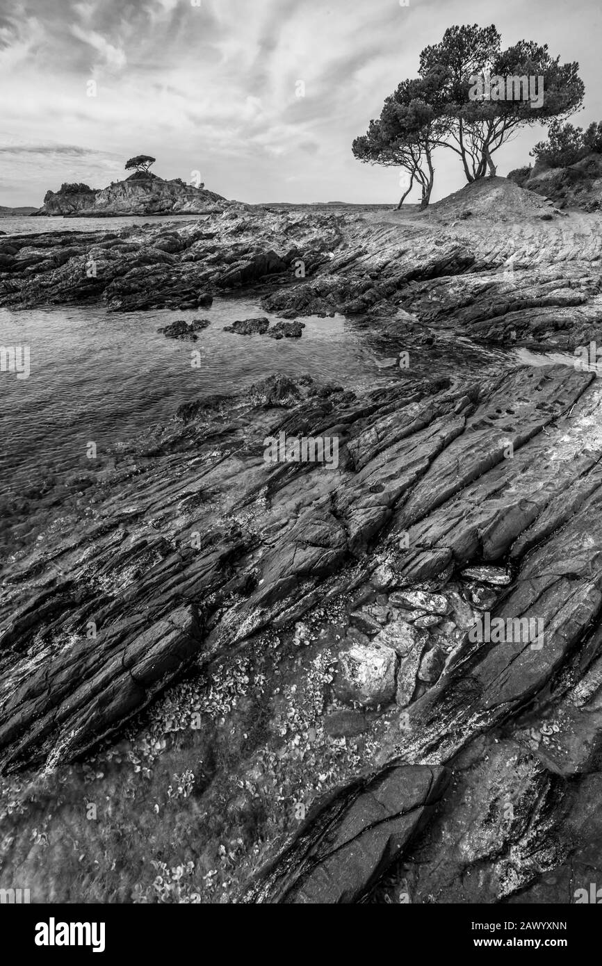 Autumn blue sky vertical Black and White Stock Photos & Images - Alamy