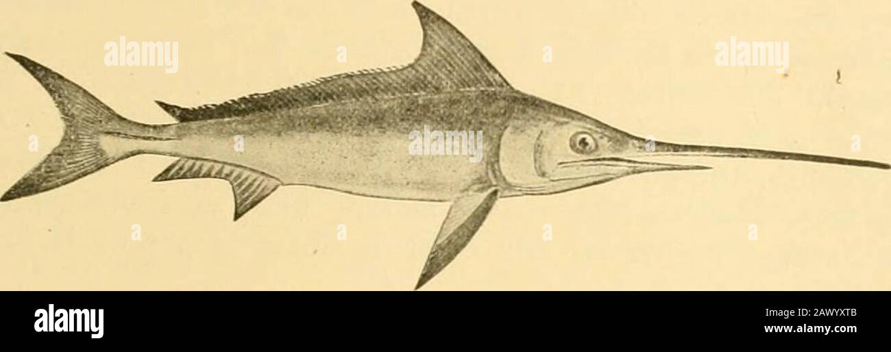 Weapon distribution hi-res stock photography and images - Alamy