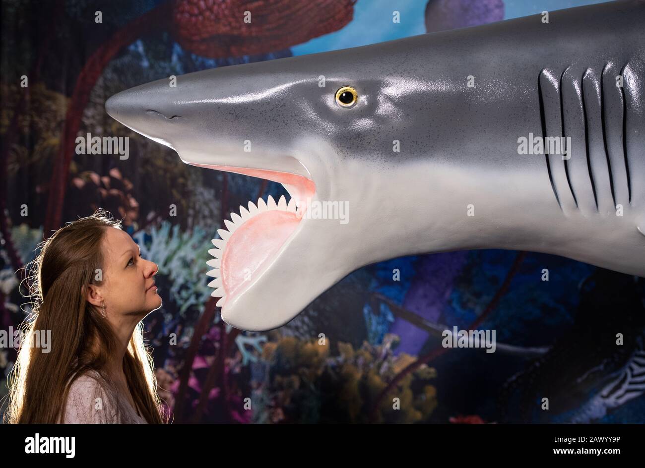Deputy Keeper of Natural History Dr Emma Nicholls views a model of a ...