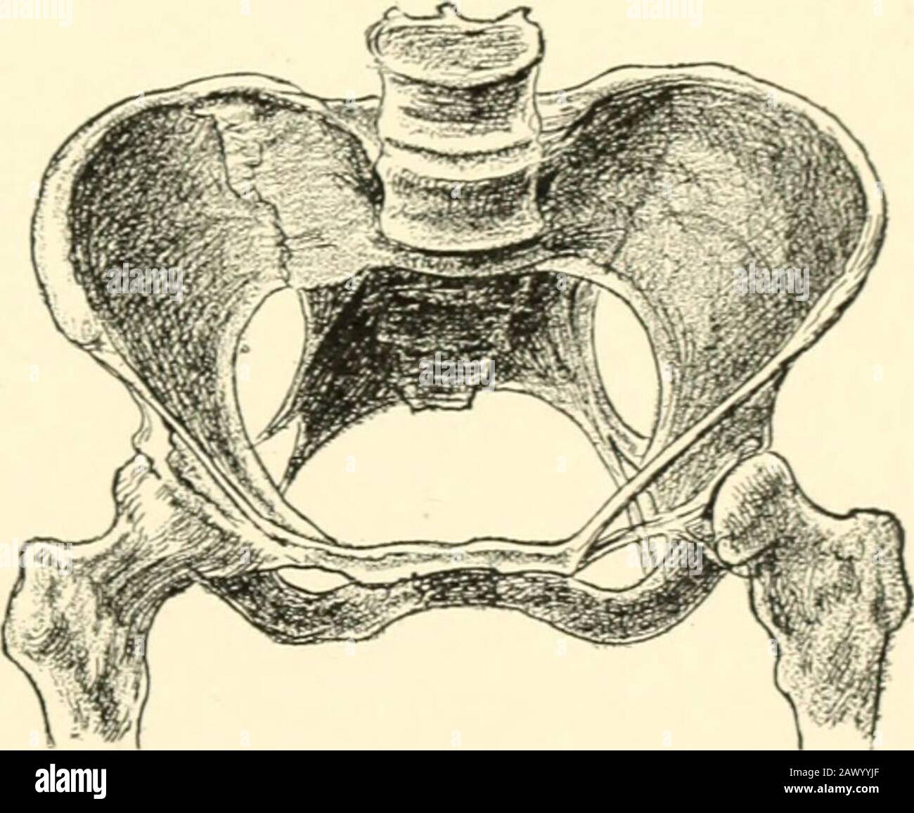 A textbook of obstetrics . nd the rachitic flat pelvis. It is doubtful ...